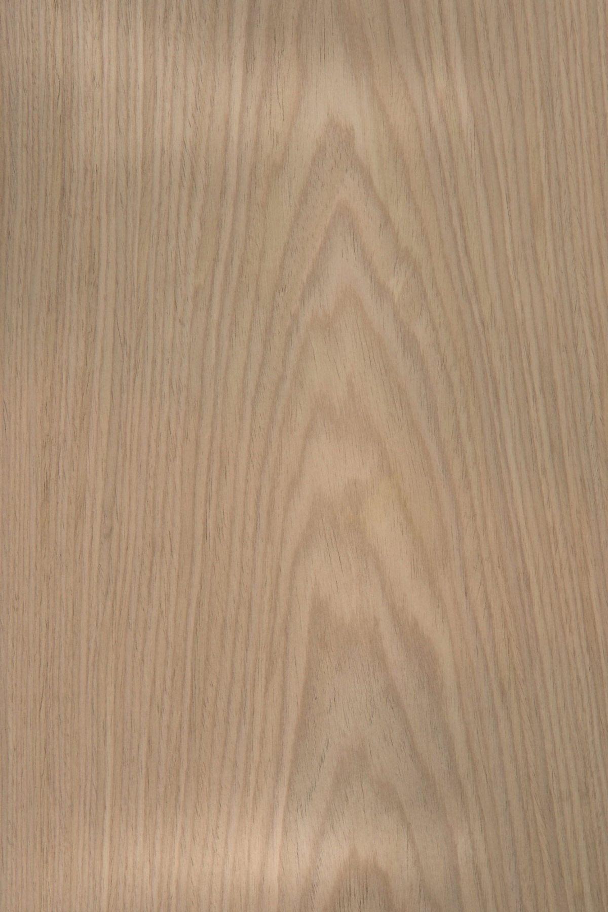 151.05-Steamed-Oak-Small-Web-Thumbnail - George Fethers