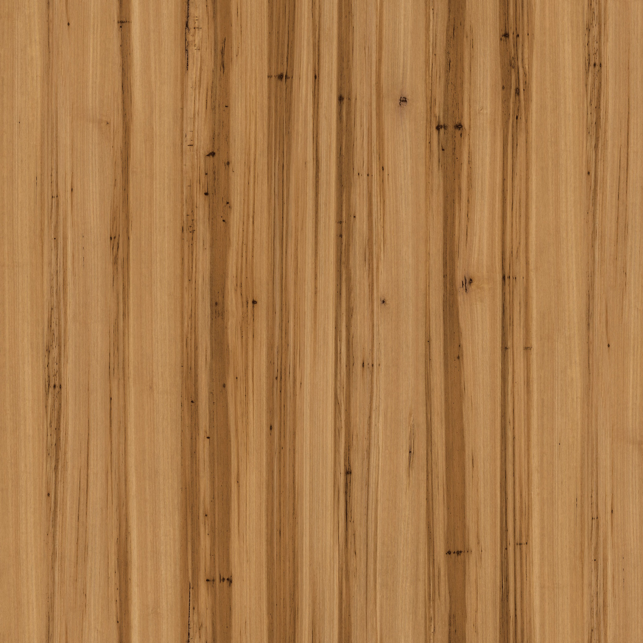 Cellupal - George Fethers