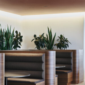 Spotted Gum Veneer Panels | Lignapal | NAB Adelaide HQ